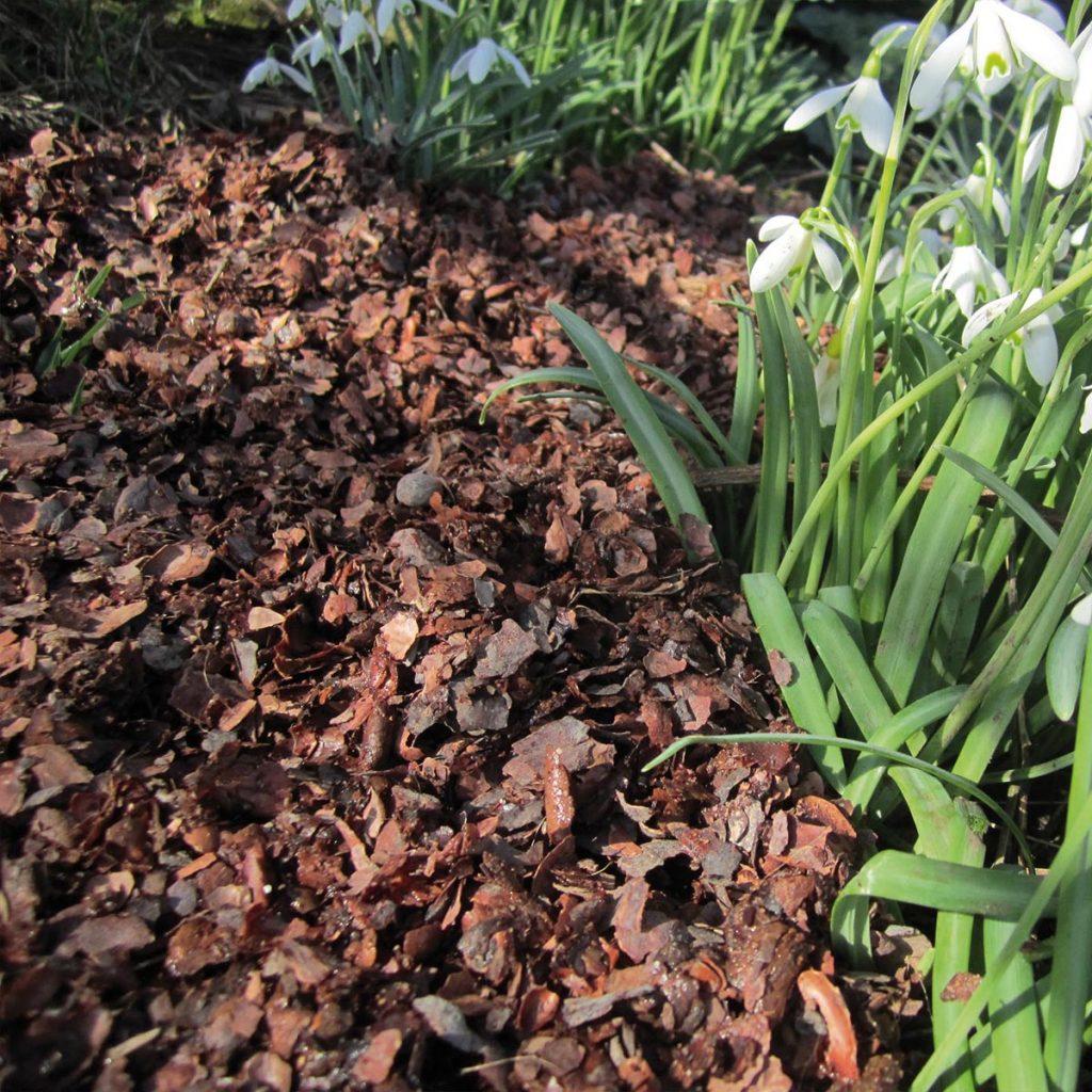 Mulches - Tommy Topsoil | Muckers Mulch | Harrogate, Yorkshire