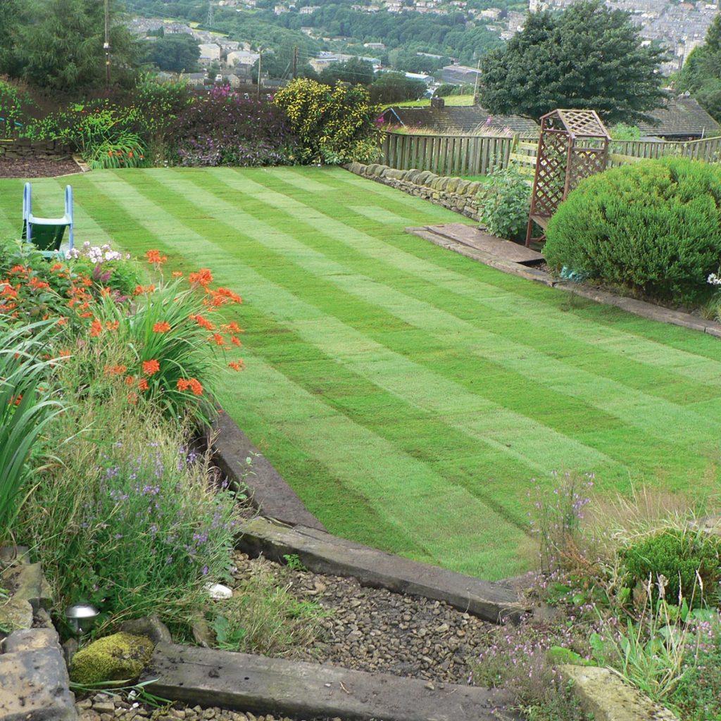 ROLAWN Medallion® Top Grade Turf - Tommy Topsoil