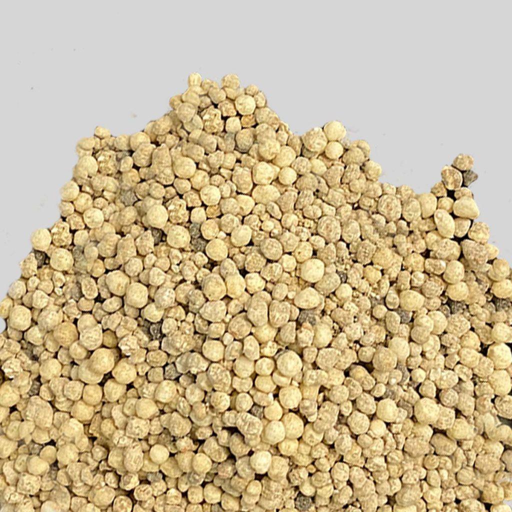 ROLAWN Medallion® Lawn Seed - Tommy Topsoil | Lawn Seed